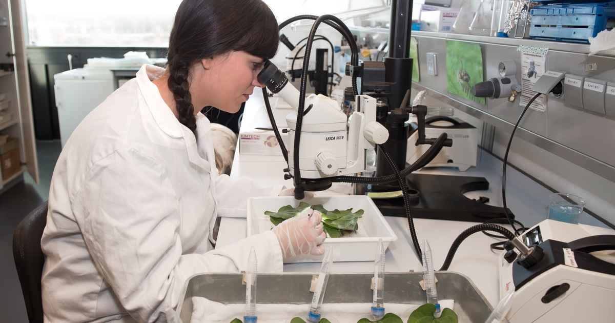 Data analysis - Research Support Portal - University of Amsterdam